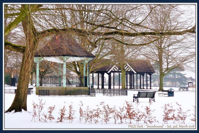 Home [www.friendsofpagepark.co.uk]