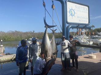 ifishmazatlan.com - Angler Information Center -Guided Fishing Tours