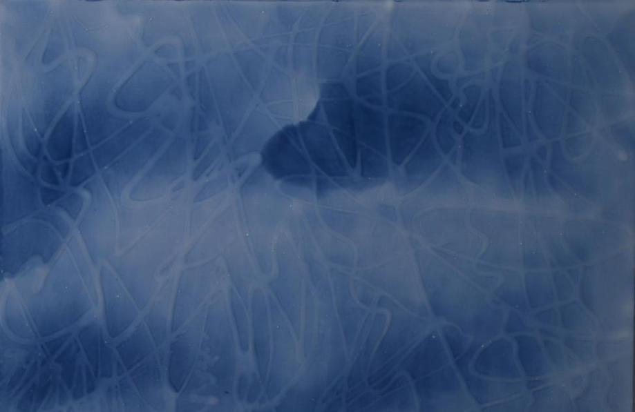 Fine Art - Barbara Schaefer Fine Art