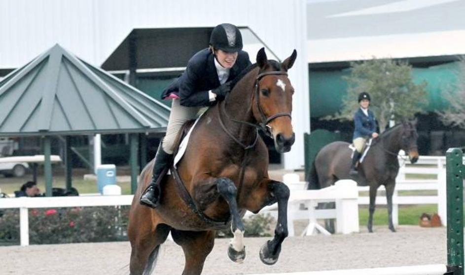 Home [www.bayviewequestrian.com]