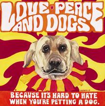 Home [www.frankcostanzopopart.com]