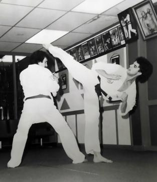 Home [www.vitorezza.net]