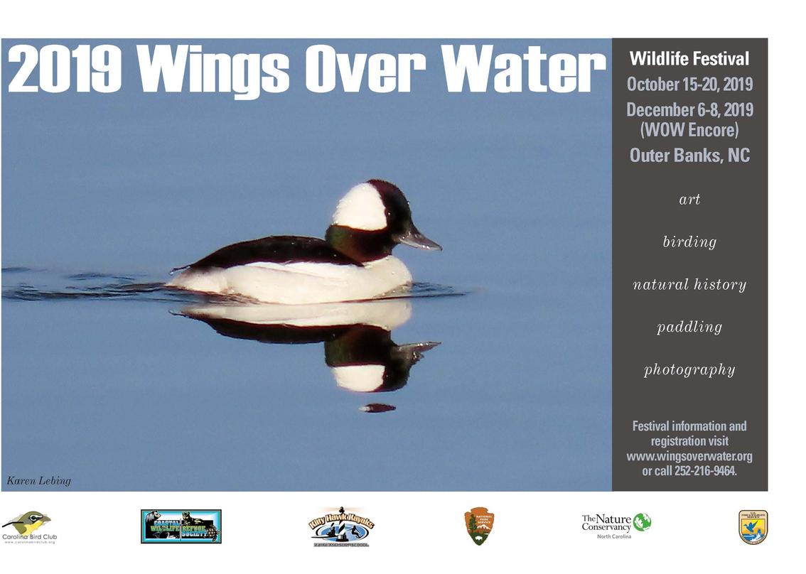 Wings Over Water Wildlife Festival - Wildlife Tours, Nature Education