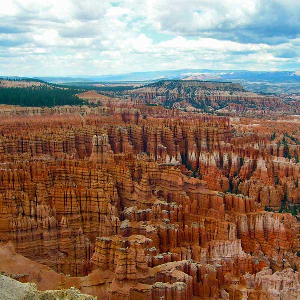 Home [www.matthewweil.com]