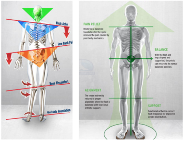 The 7 Principles of Movement