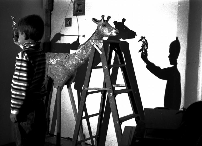 Silver Gelatin Works