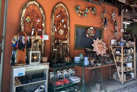 Plants available now