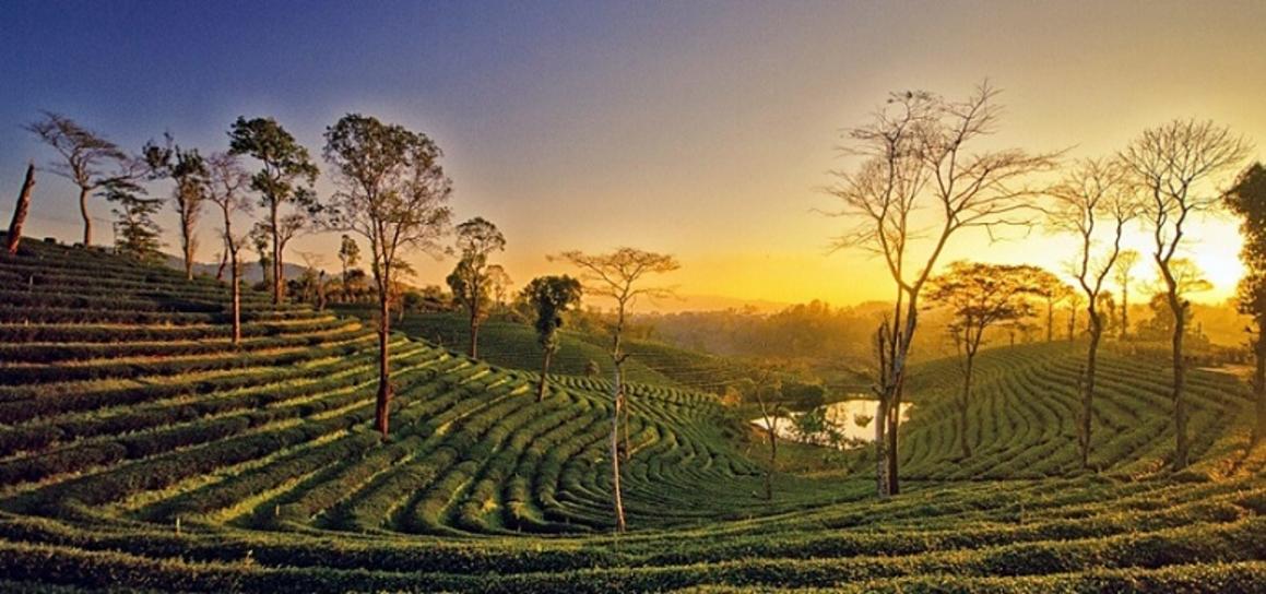 Assam Tour Package Tourism Trip Best Places See Holiday Stay