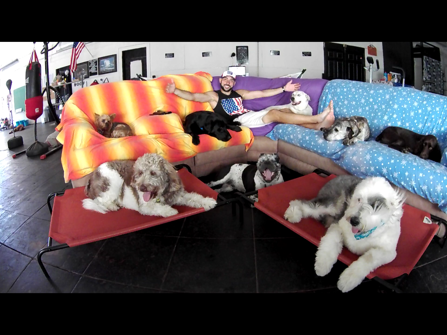 Home [www.themuttrunners.com]