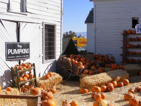 Utah Honey Harvest Festival