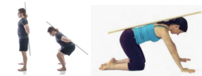 The 7 Principles of Movement