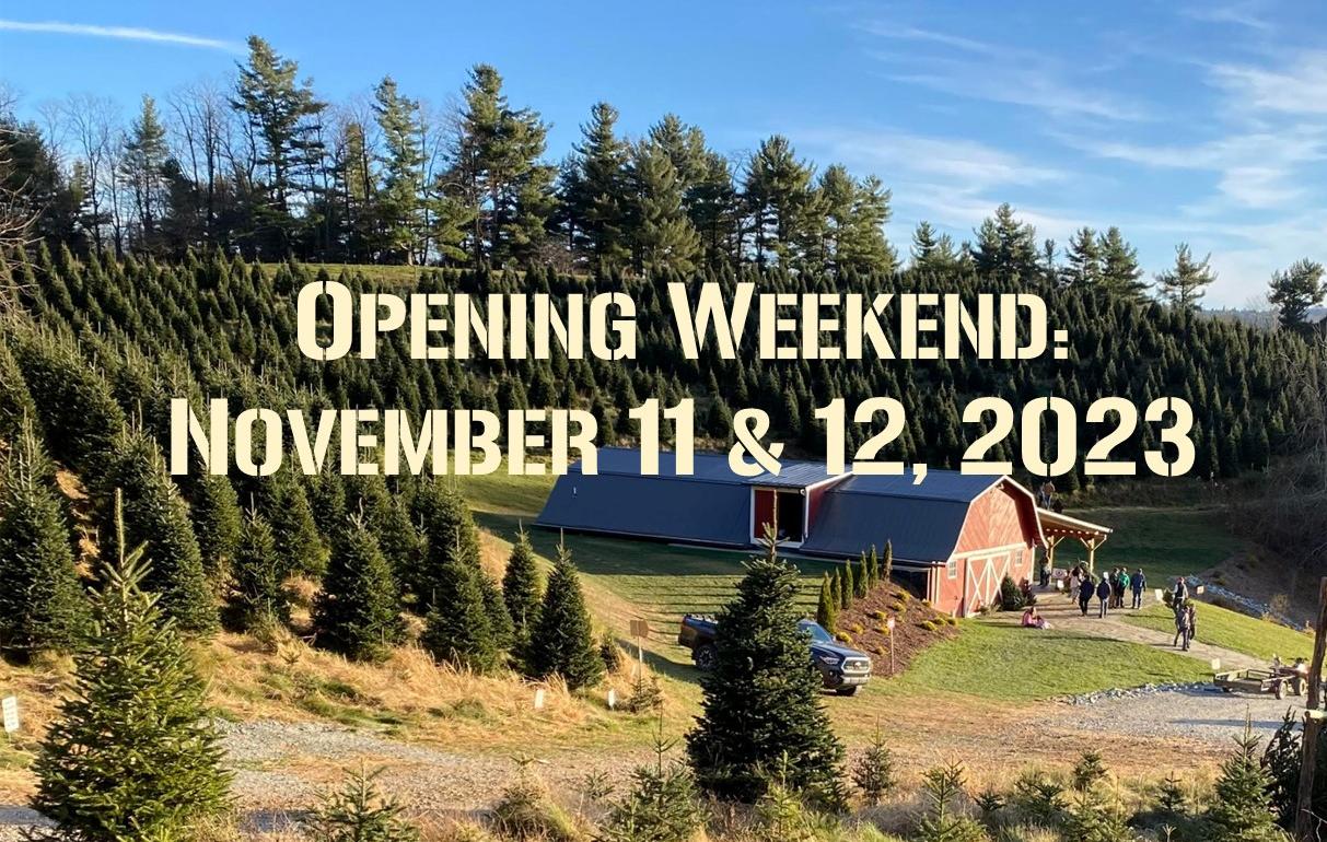 Home [circlectreefarm.com]