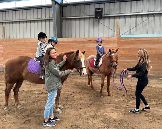 Home [www.autumngrovestables.net]