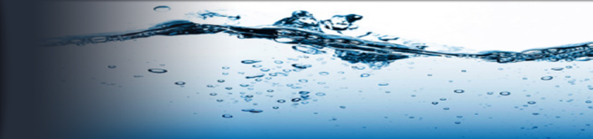 Home [www.thebackflowguy.com]