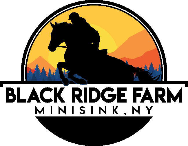 Boarding at Black Ridge Farm