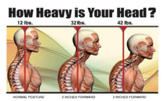 The 7 Principles of Movement