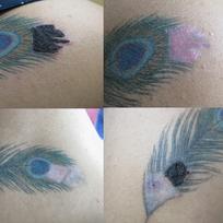 Elevated Esthetics Home