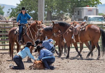 Home [www.thecowboylife.com]