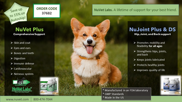 Home [www.furhavenk9s.com]