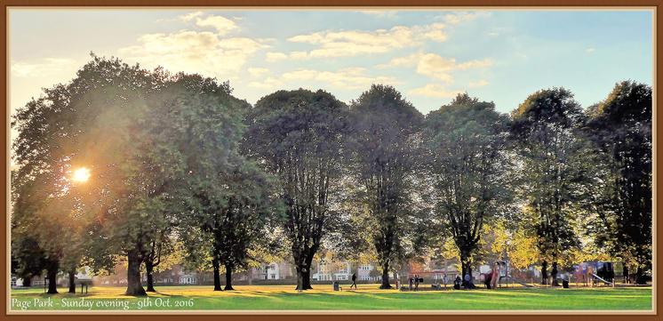 Home [www.friendsofpagepark.co.uk]