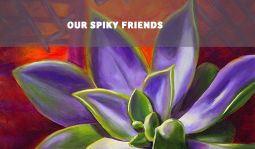 Home | Nancy Paton Oil Piantings