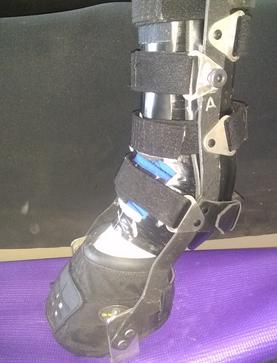 Home [www.veterinaryrehabtechnologies.com]