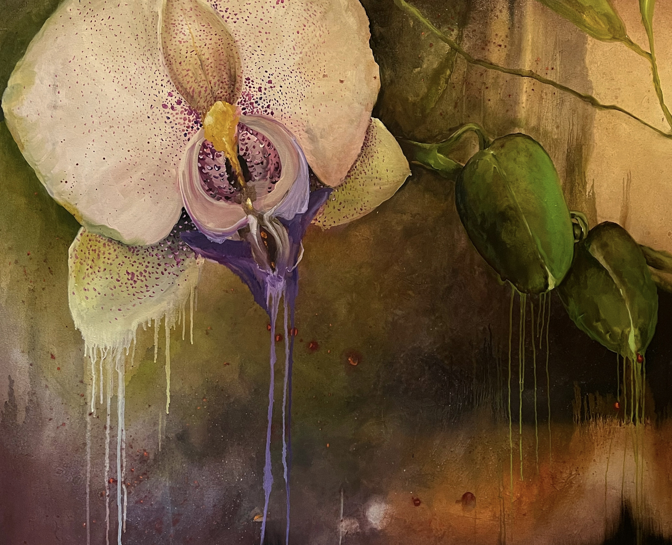 Home [www.jeanlarson.com]