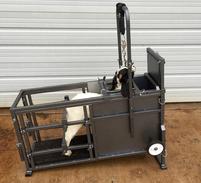 Home [www.showsharp.com]