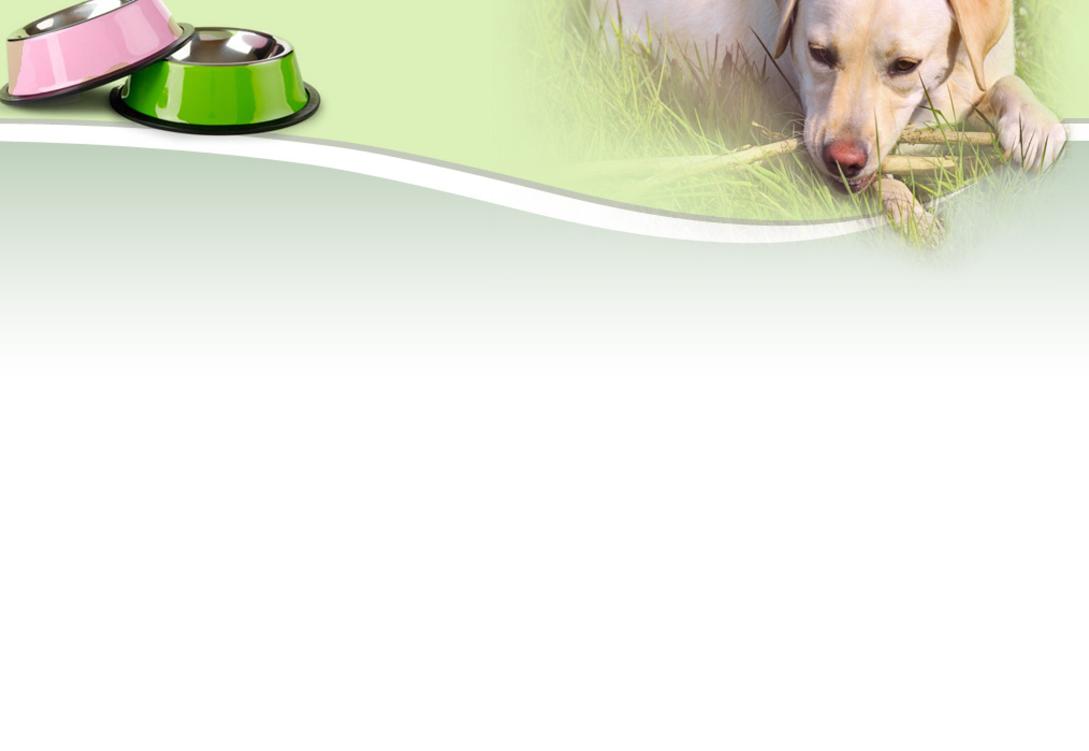 Fish Azithromycin Fish Zithro 250mg, 500mg, 1000mg - petproducts-online.com