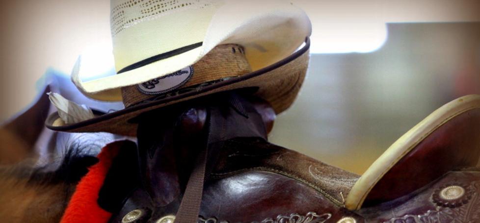 Home [www.tyrra.org]