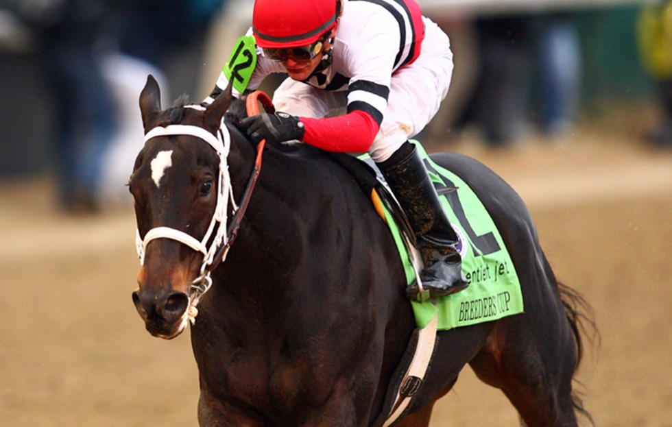 Home [www.martinracingstable.com]