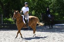 Lehigh Riding Club Home. Local hunter/jumper & dressage shows.