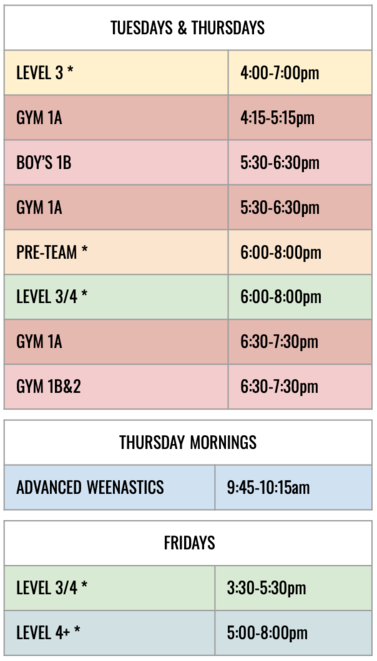 Gym Schedule