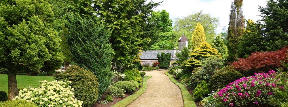 Home | NORCAL Tree Care