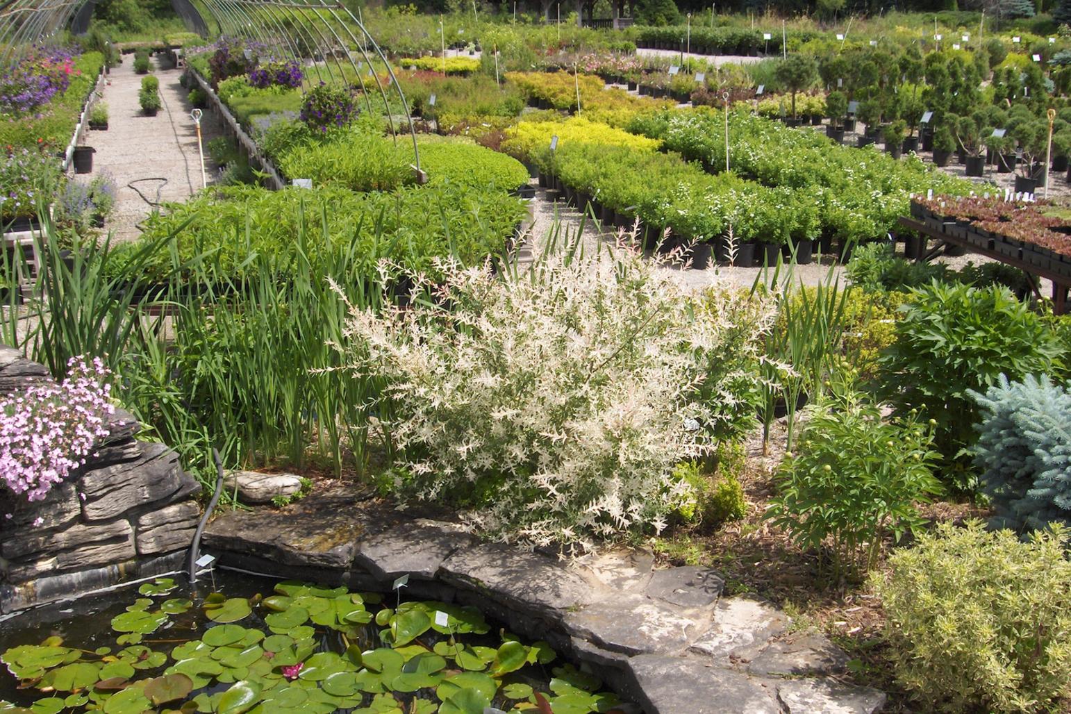 Scenic View Landscapes & Garden Center - Landscaping, Garden Center