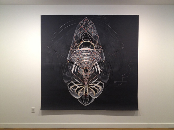 Tyler Stallings - Curator