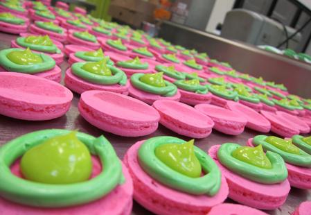 home [www.sugarbeesbakery.com]