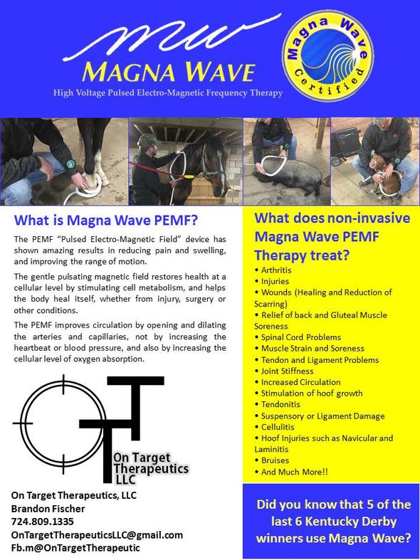 Magna Wave