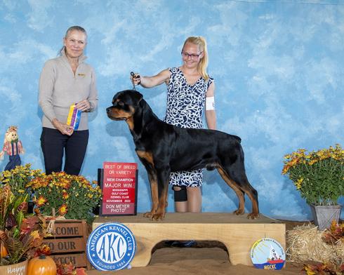 Rottweiler Puppies for Sale - Rottweiler Breeder