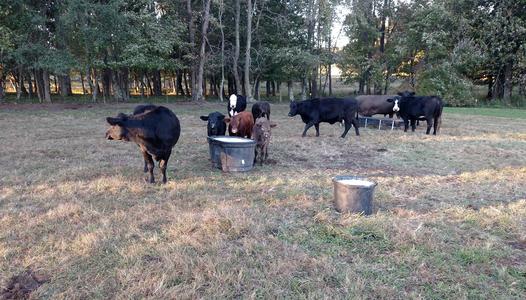 Southern Pride Distillery | Tennessee Moonshine Distilling