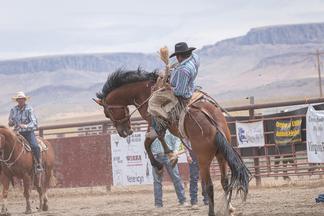 Home [thecowboylife.com]