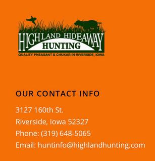 Llewellin Setters - Cash Setters