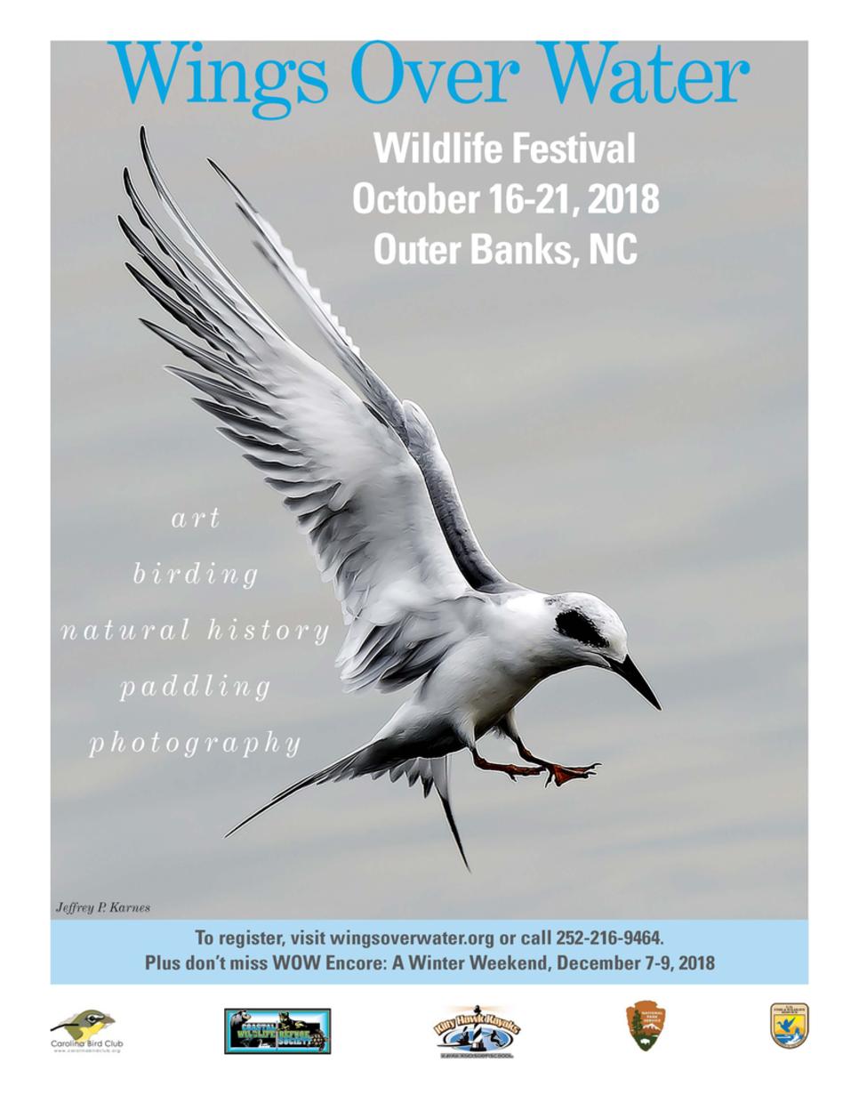 Wings Over Water Wildlife Festival - Wildlife Tours, Nature Education