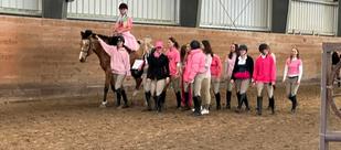 Home [www.autumngrovestables.net]