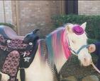 Pretty Pony Parties Houston Tx