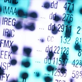 Testing | Southwest Spectro-Chem Labs