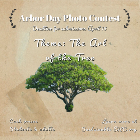 Photo Contest
