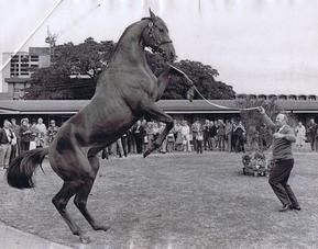 Sydney Racing 1970s
