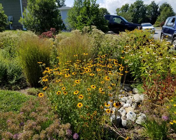 Ecological Landscape Design