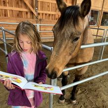 Welcome [www.spirittrc.com]